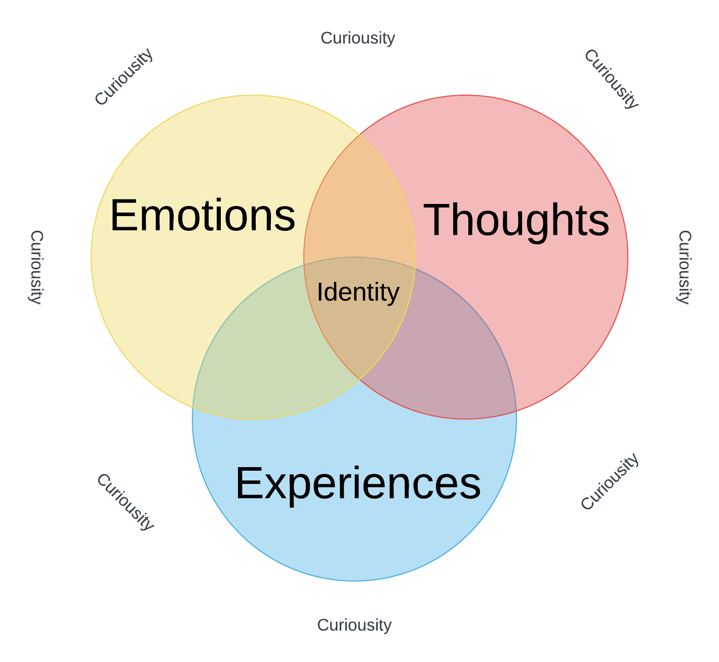 Embracing Curiosity: A Path to Personal Growth – Lucas Whitman