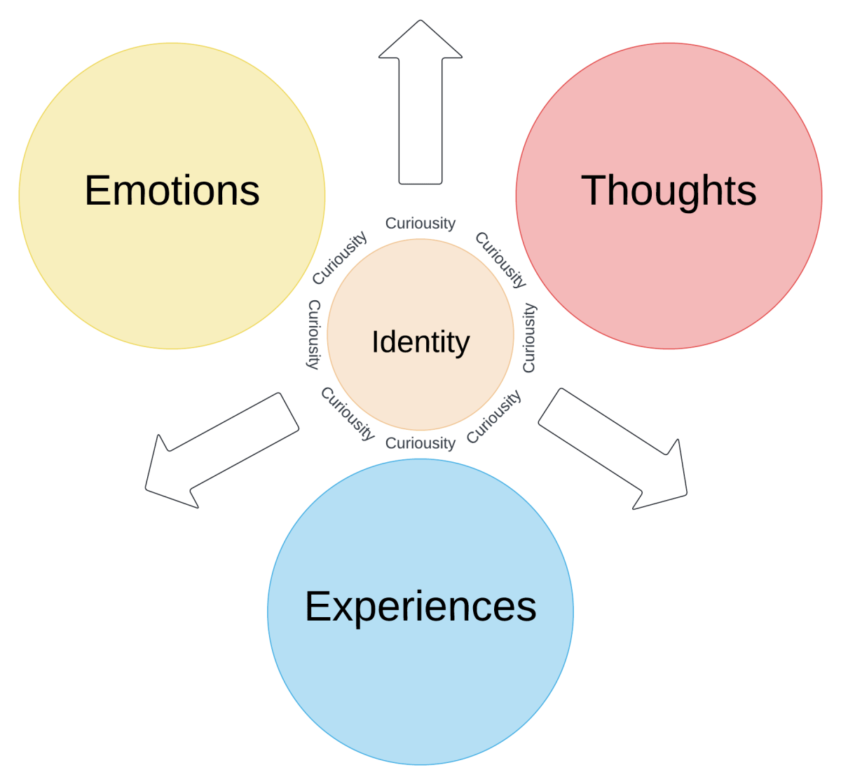 Embracing Curiosity: A Path to Personal Growth – Lucas Whitman